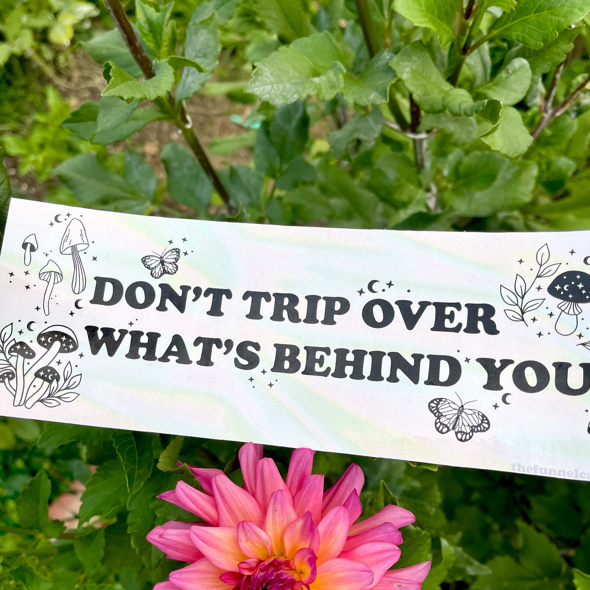 Don't Trip Bumper Sticker 🍄🍄 – The Funnel Cake Tree