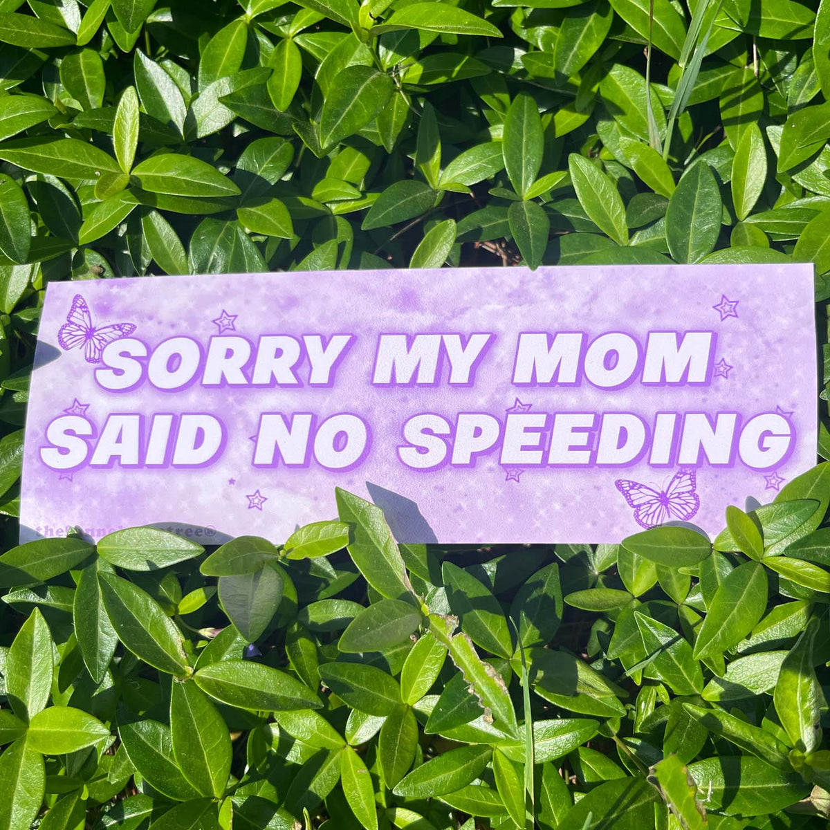 Sorry My Mom Said No Speeding Bumper Sticker – The Funnel Cake Tree